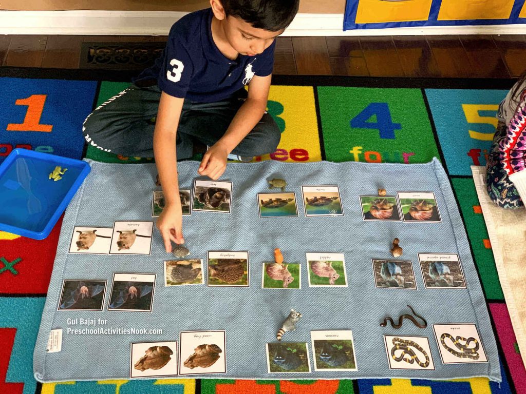 Animals in Winter Preschool Activities Theme