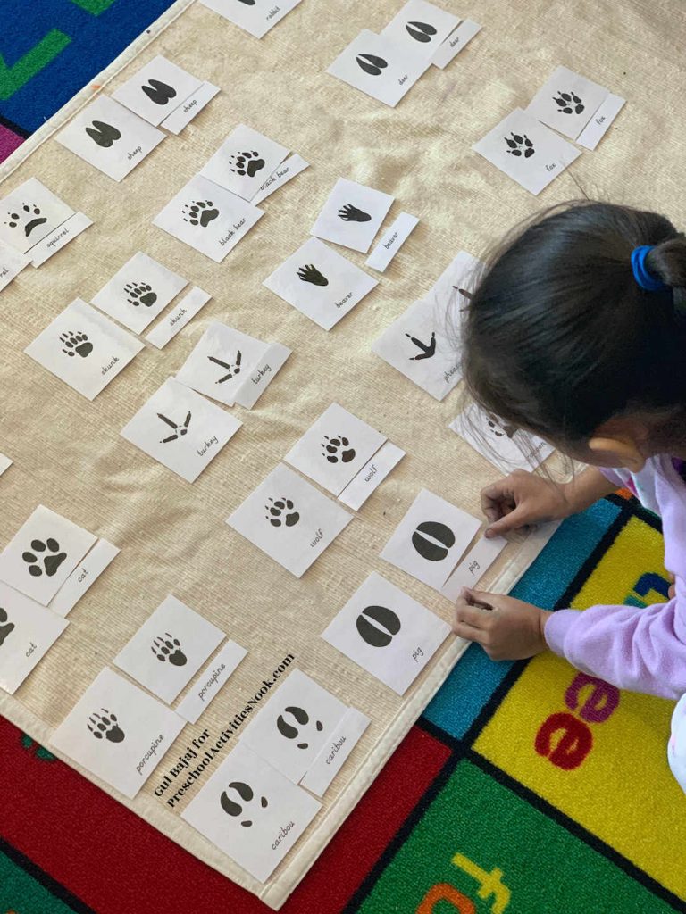 Animals in Winter Preschool Activities Theme