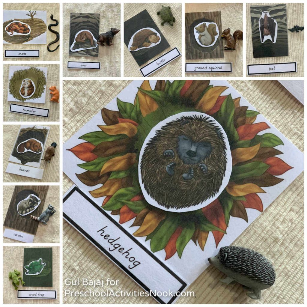 Animals in Winter Preschool Activities Theme