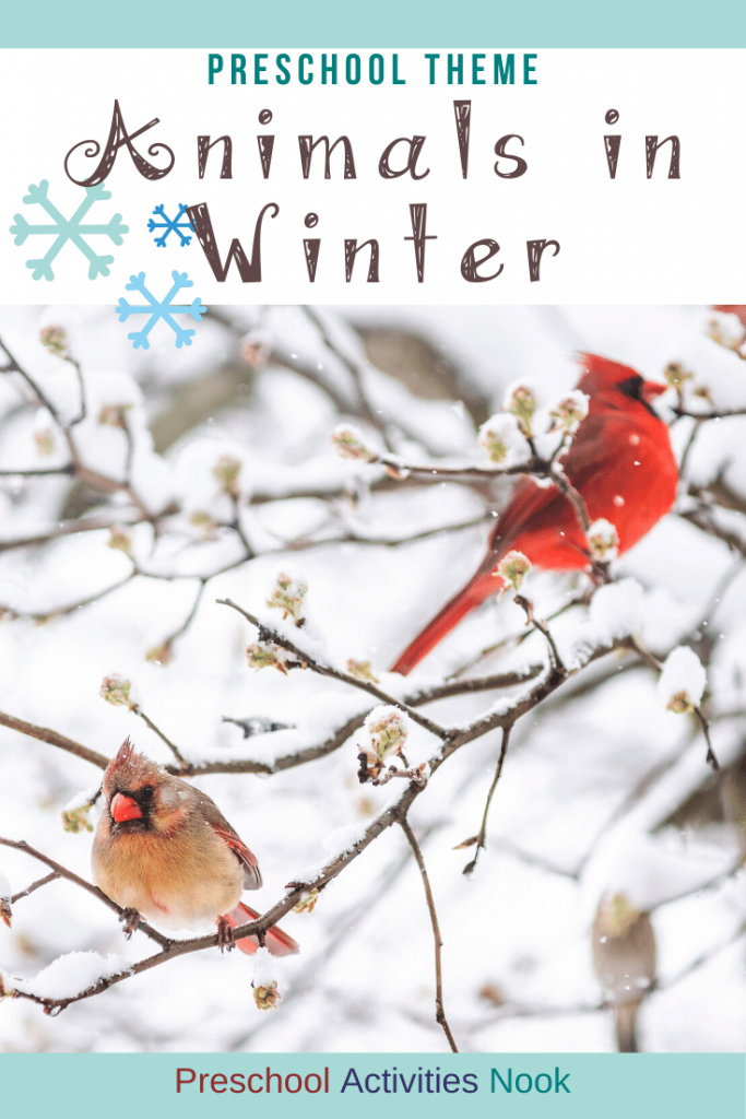 Animals in Winter Preschool Activities Theme