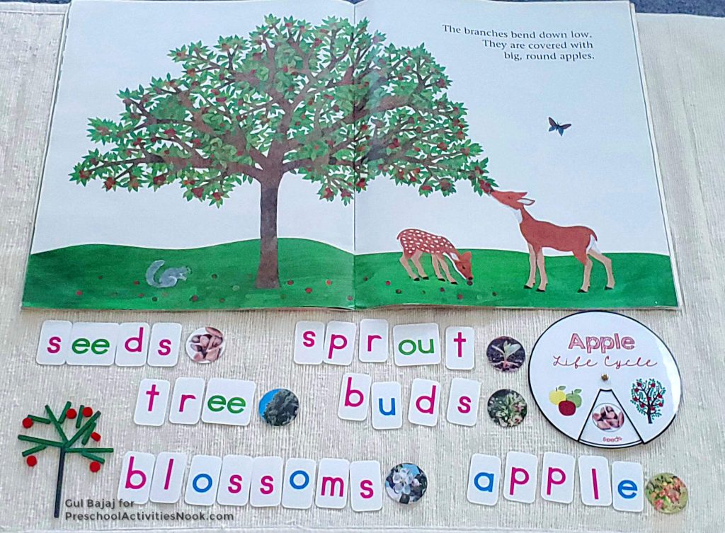 Preschool Apples Theme - Activities Nook