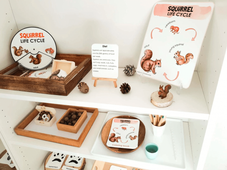 Preschool Squirrels Theme - Activities Nook